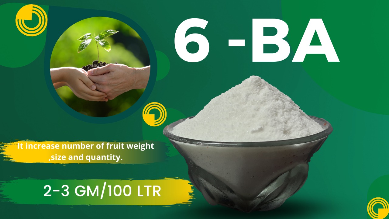 6 BA Cytokinin – sahaj chemicals